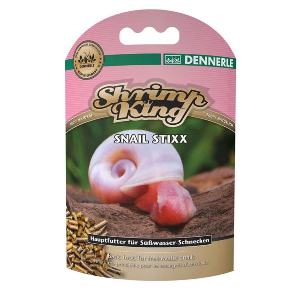 Freshwater Snails Archives - Saturn Shrimp