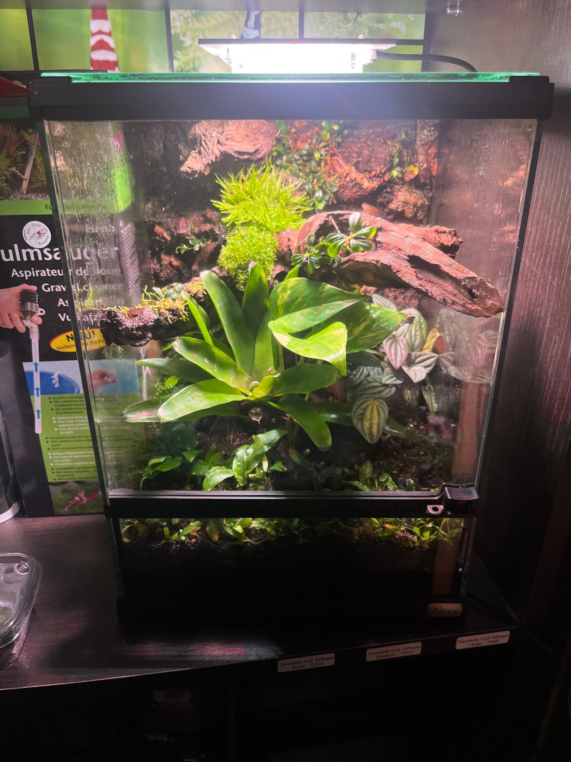 Skylight Tiny RH/RV - Saturn Shrimp